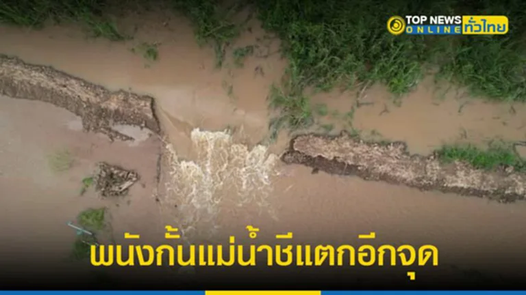 พนังกั้นแม่น้ำชีแตกอีก มวลน้ำทะลักหลากท่วมไร่นา ชาวบ้านเร่งขนของ พร้อม