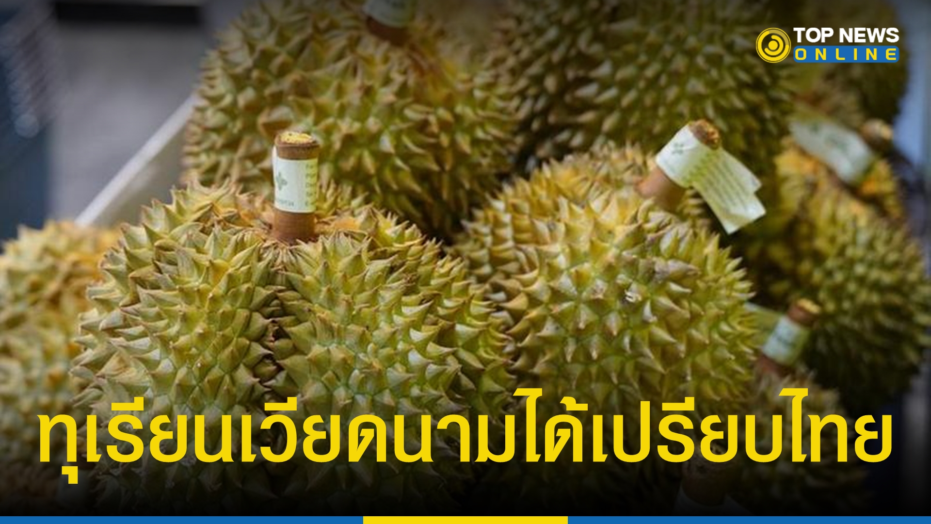 ทุเรียน เวียดนาม อันดับ 2 คู่แข่ง ไทย รุกส่งออก บุกตลาดจีน
