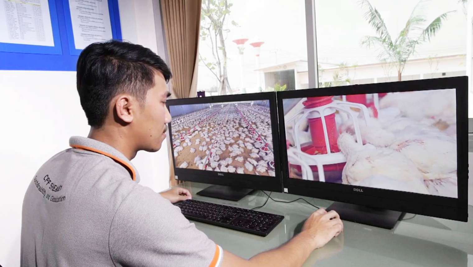 CPF ชู ฟาร์มอัจฉริยะ ยกระดับสวัสดิภาพสัตว์ และเพิ่มความเชื่อมั่นในความ ...