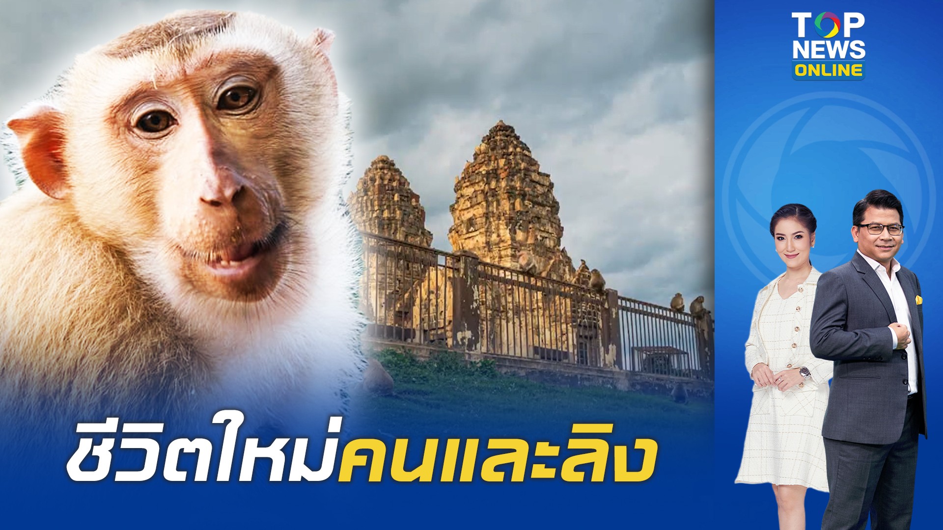 ชีวิตใหม่คนและลิง ลพบุรี เปลี่ยนไปหลังจาก "เจ้าหน้าที่" เข้าจับลิงไป 1,000 กว่าตัว | TOPNEWS