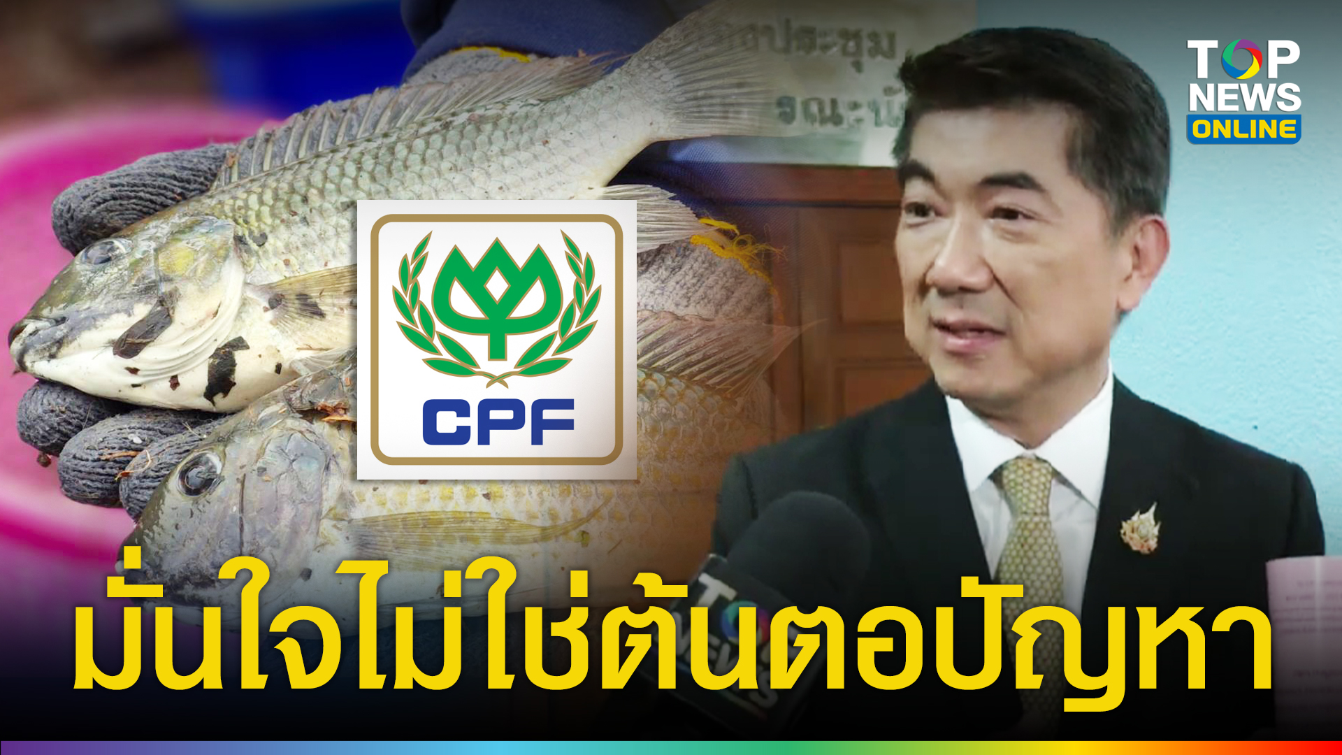 "ผู้บริหาร CPF" ย้ำนำเข้าปลาหมอคางดำ เมื่อ 14 ปีที่แล้ว มั่นใจไม่ใช่ต้นเหตุปัญหาวันนี้ สวน "กรม ...