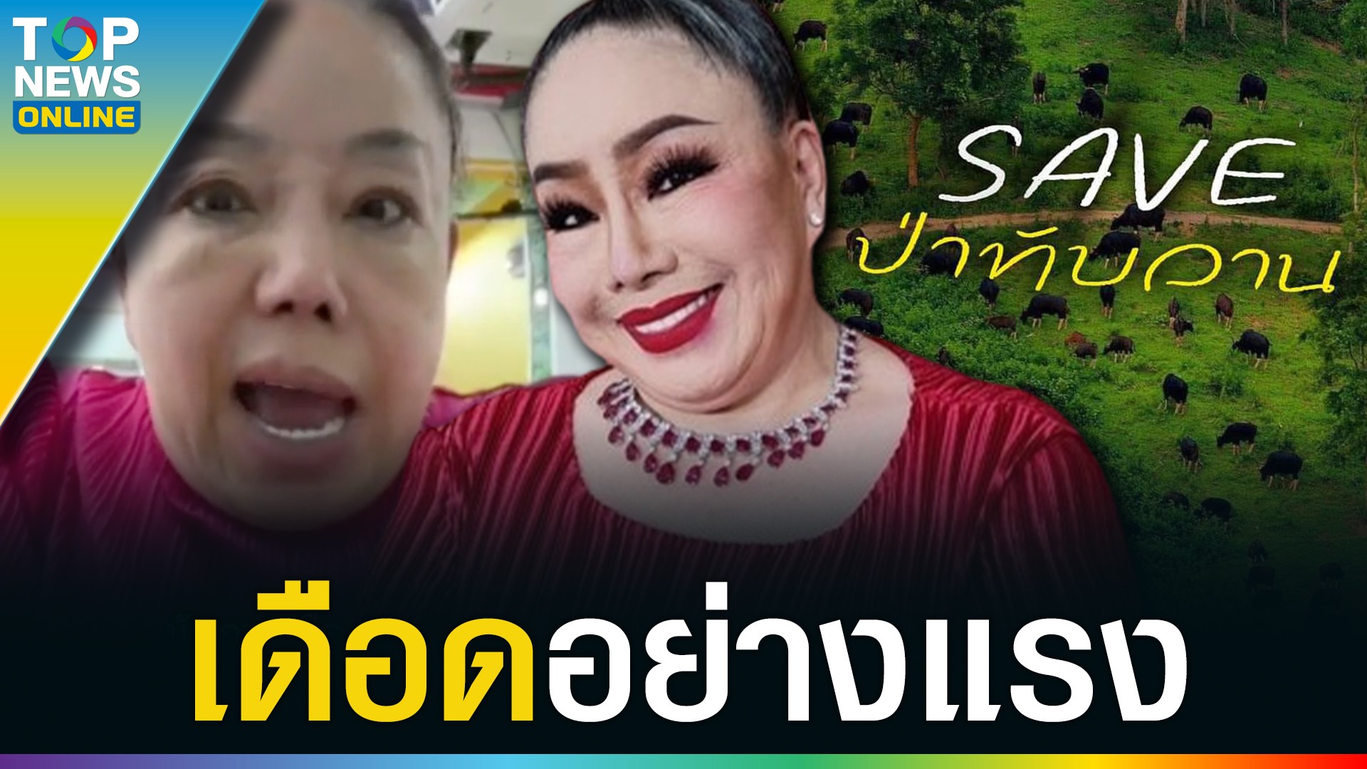 “ลีน่าจัง” ด่าแรง มีแต่นักการเมือง…ทั้งนั้น ใช้อำนาจฮุบที่ สงสาร “ทับลาน” | TOPNEWS