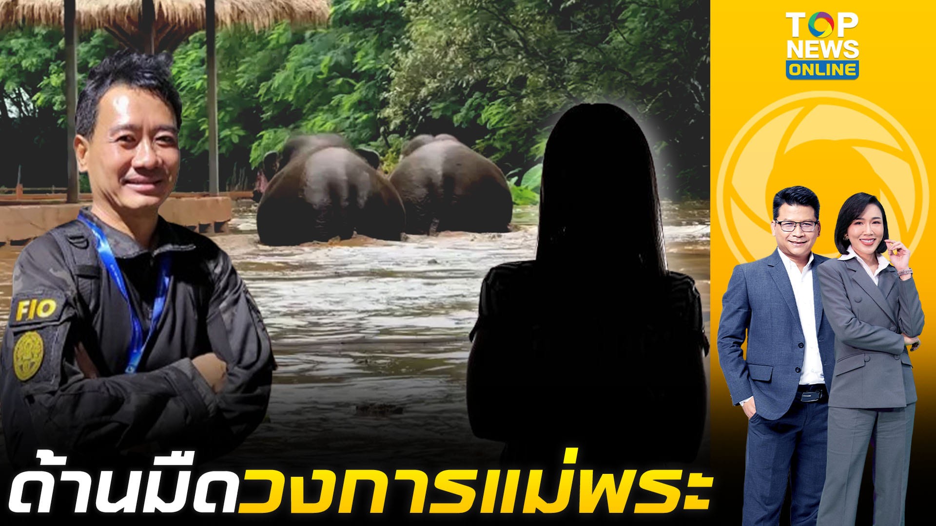 สัตวแพทย์ แฉ ปางช้างโลกสวย ร่วมมือ NGO สร้างภาพจัดฉากผ่าจ้านช้าง |ข่าวเป็นข่าว|ช่วง 2 | TOPNEWS